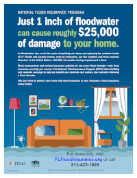 Affordable Florida Flood Insurance | Think Safe Insurance